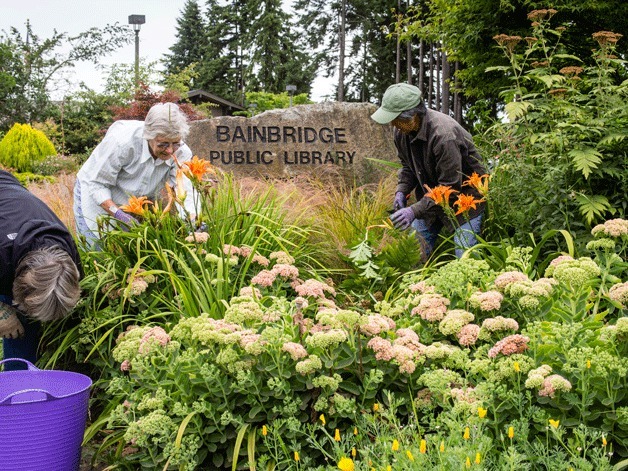 ONE CALL FOR ALL | Bainbridge’s library: A community treasure ...