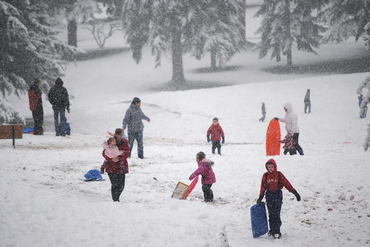 Snowbound Bainbridge — our favorite photos from the blizzard | GALLERY ...