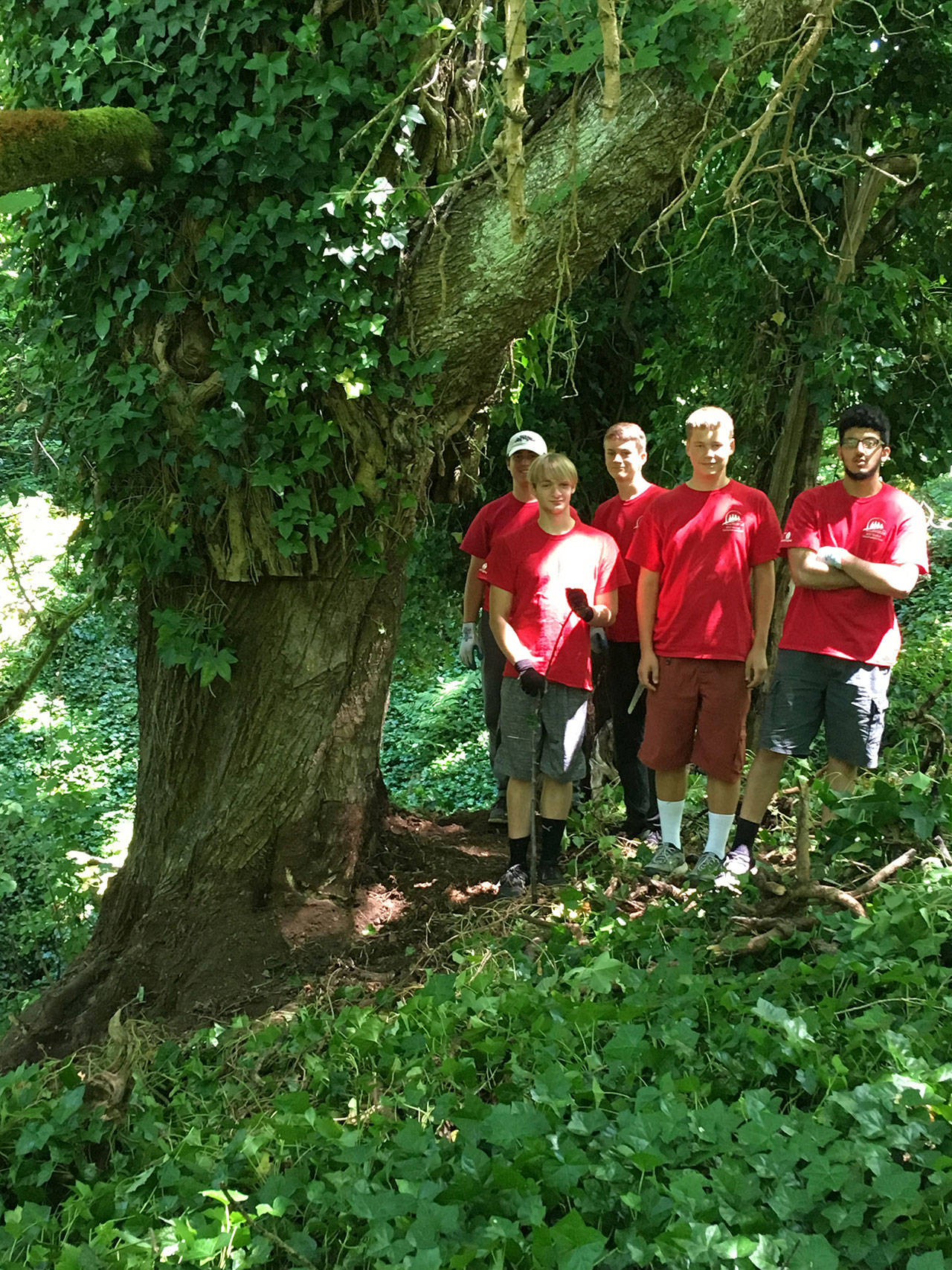 Student Conservation Corps benefits Island parks | Bainbridge Island Review