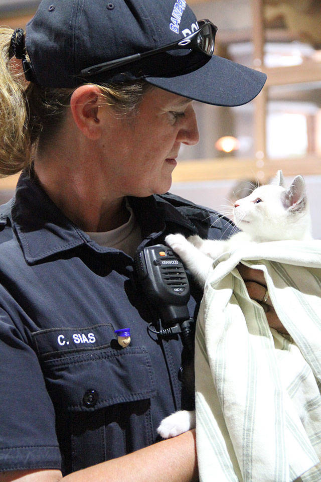 Kitty Hall on Bainbridge | Photo gallery | Bainbridge Island Review