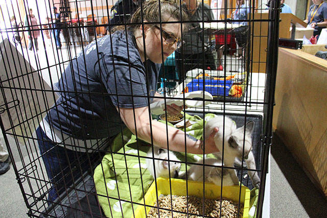 Kitty Hall on Bainbridge | Photo gallery | Bainbridge Island Review