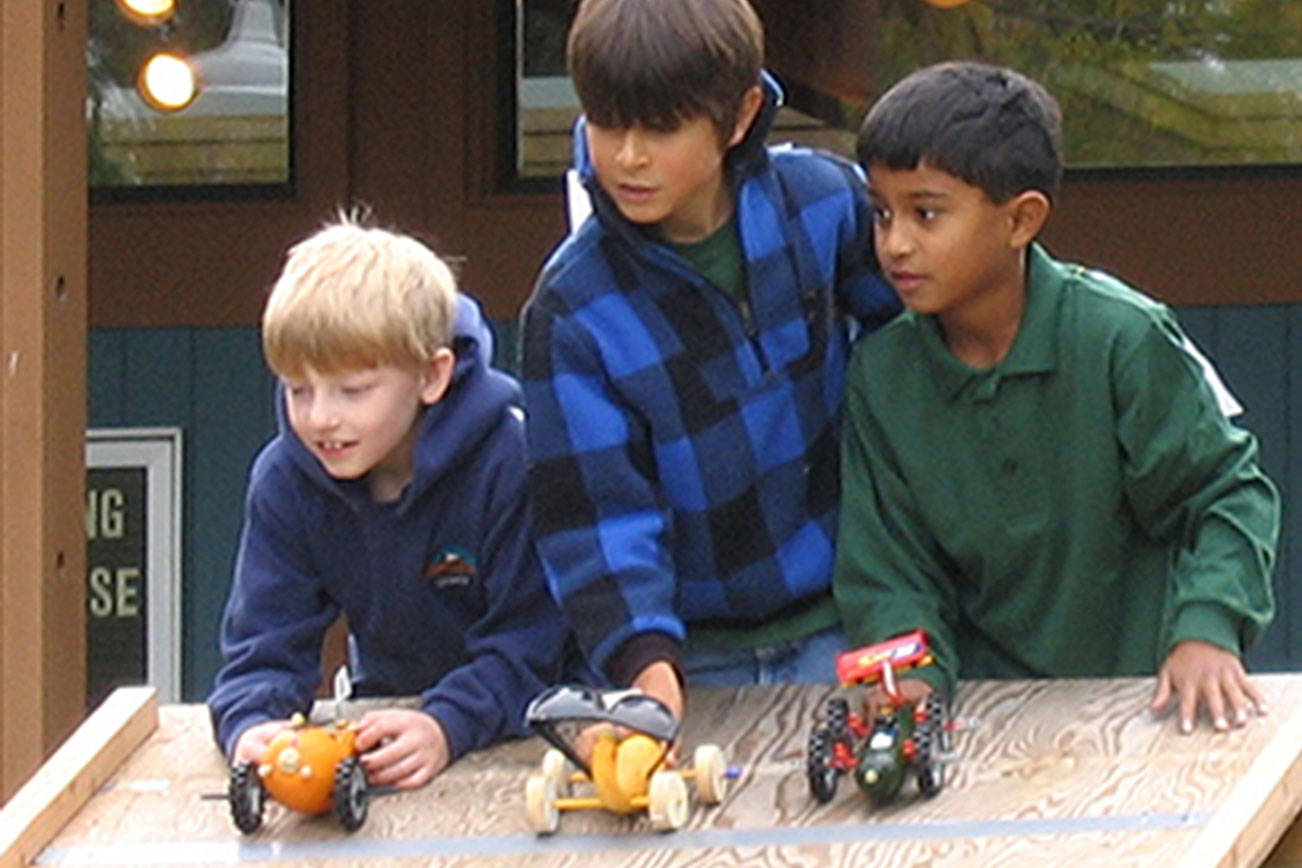 Zucchini races return to Bainbridge Island Farmers Market | Bainbridge ...