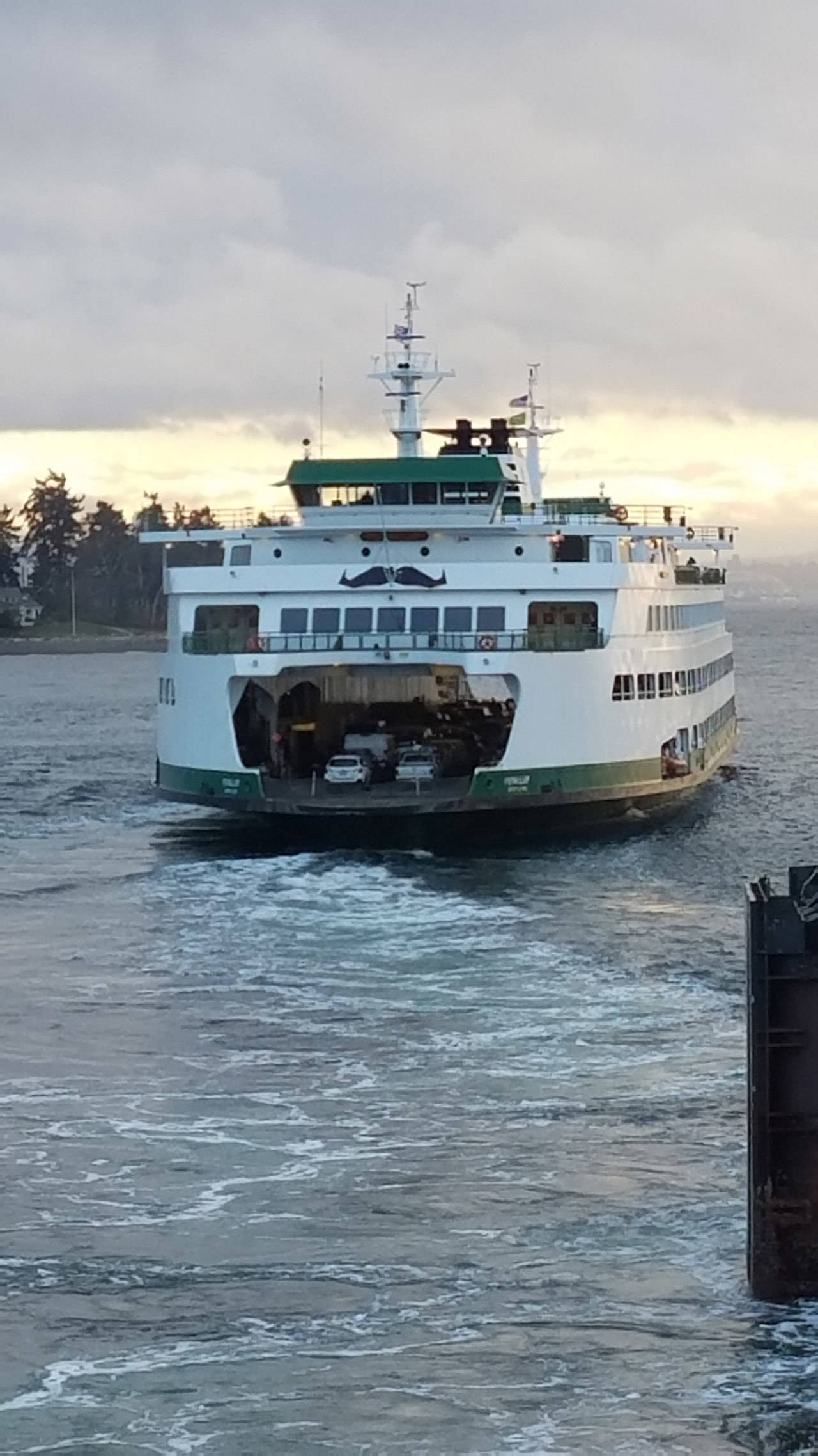 WSF puts whiskers on the water this month | Bainbridge Island Review