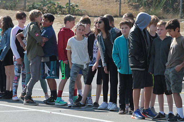 Welcome back to Sakai | Photo gallery | Bainbridge Island Review