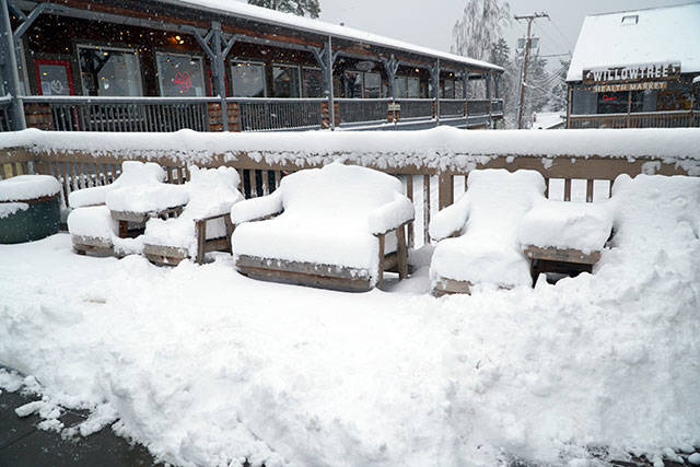 Bainbridge in white: Winter storm 2019 | Photo gallery | Bainbridge ...