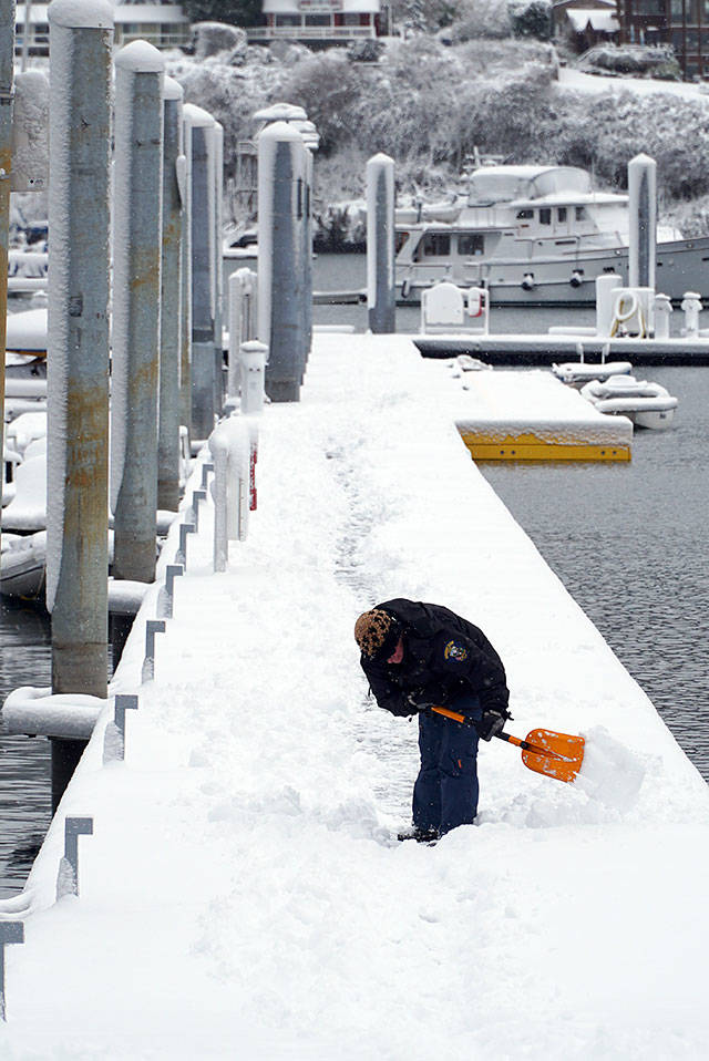 Bainbridge in white: Winter storm 2019 | Photo gallery | Bainbridge ...