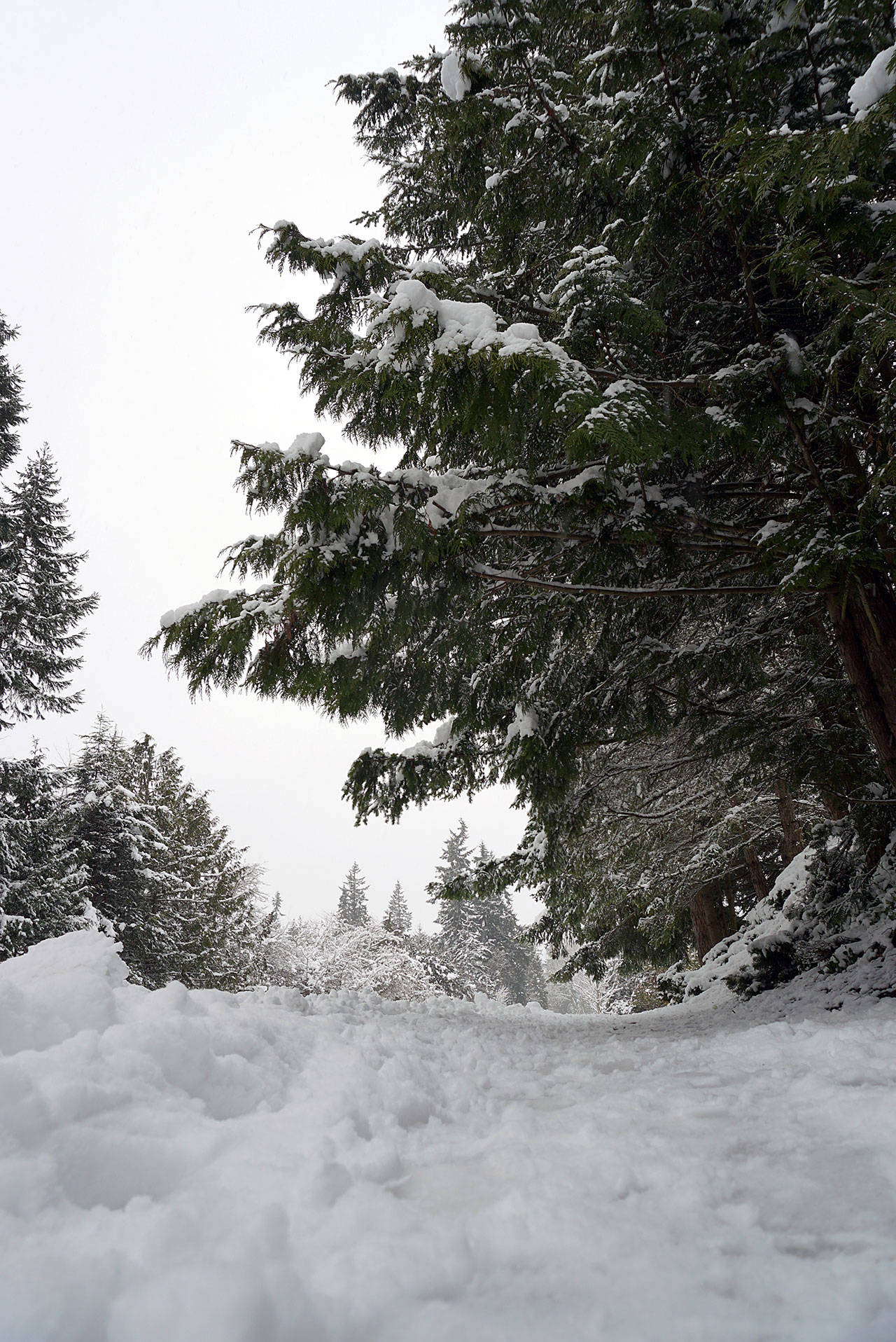 Mo’ snow: Photos of the final days of ‘Snowmageddon’ on BI | Photo ...