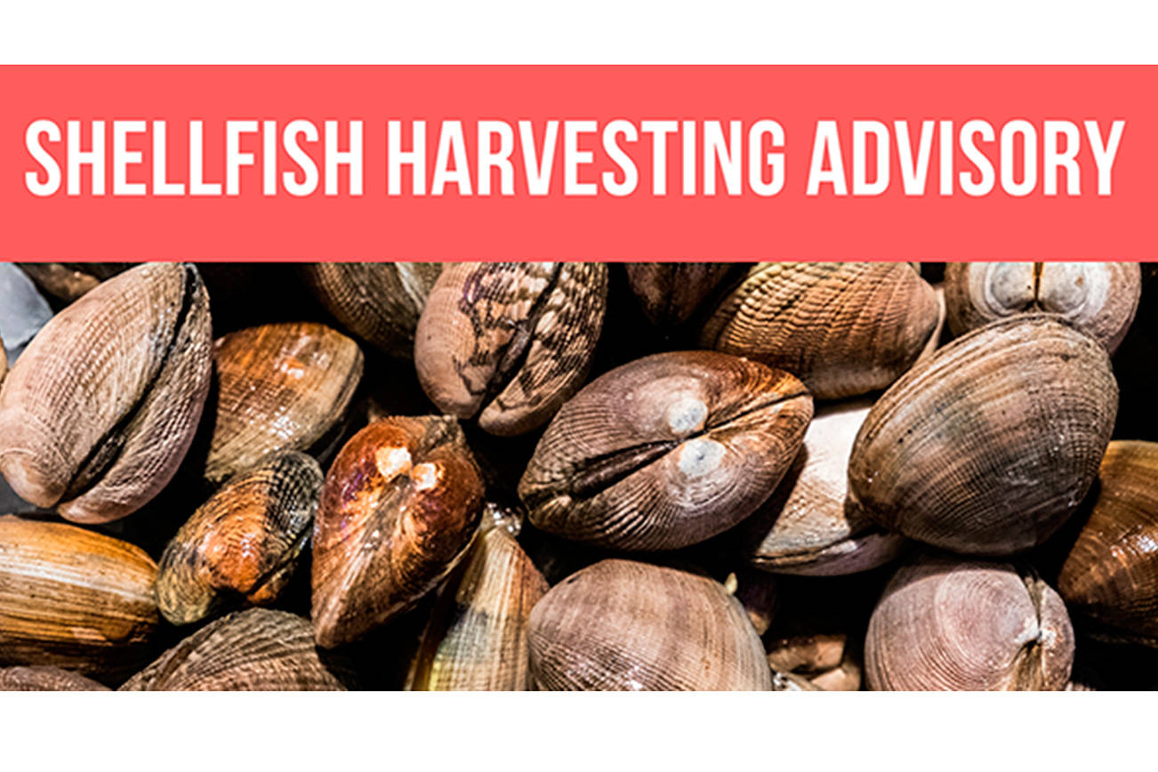 Shellfish harvesting banned near Agate Pass Bridge, west shoreline of ...