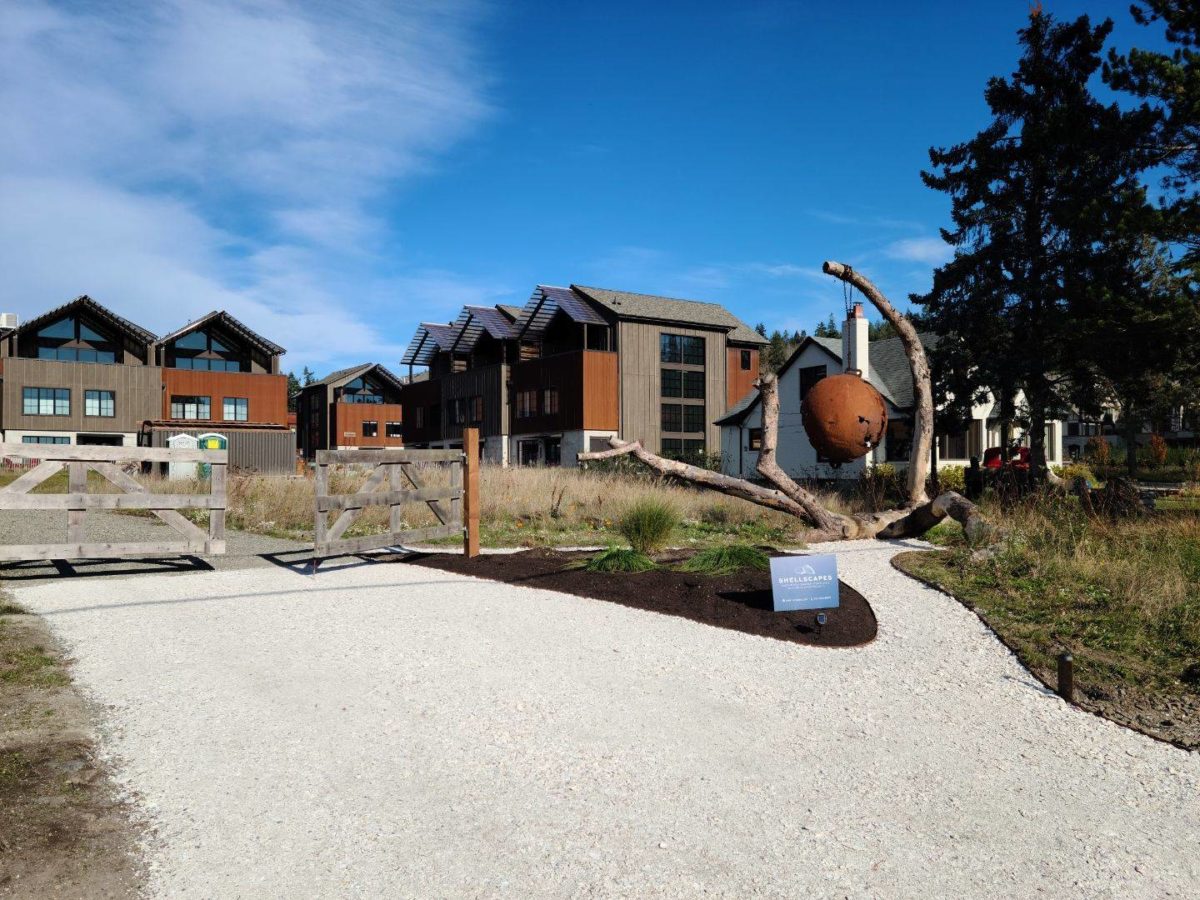 Oyster shells a pearl when it comes to landscaping | Bainbridge Island ...