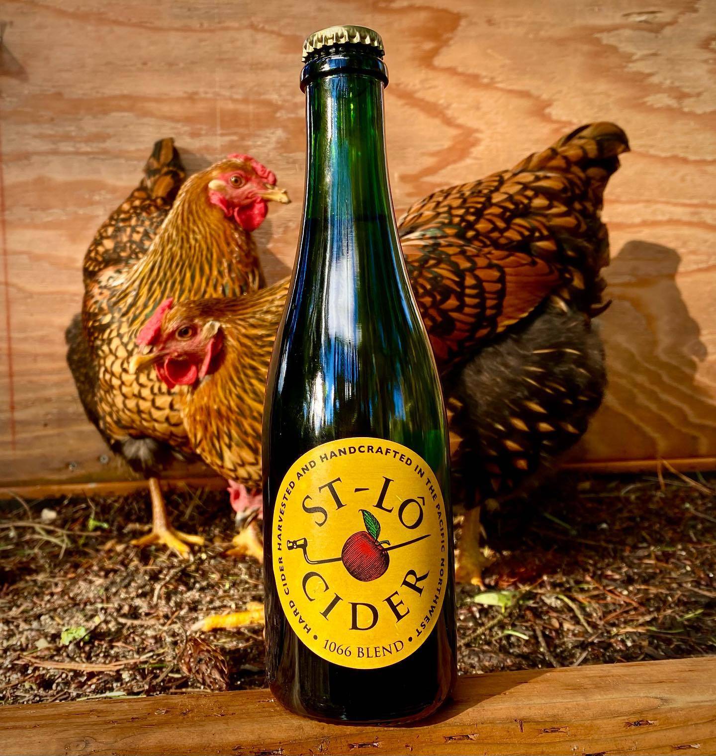 Community Cider Release Party Sunday | Bainbridge Island Review