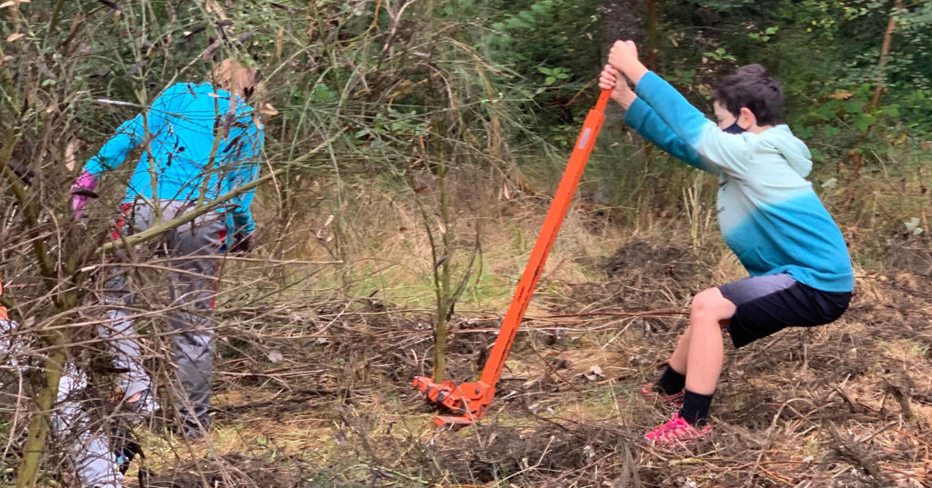 Students make guide for Native Food Forest | Bainbridge Island Review