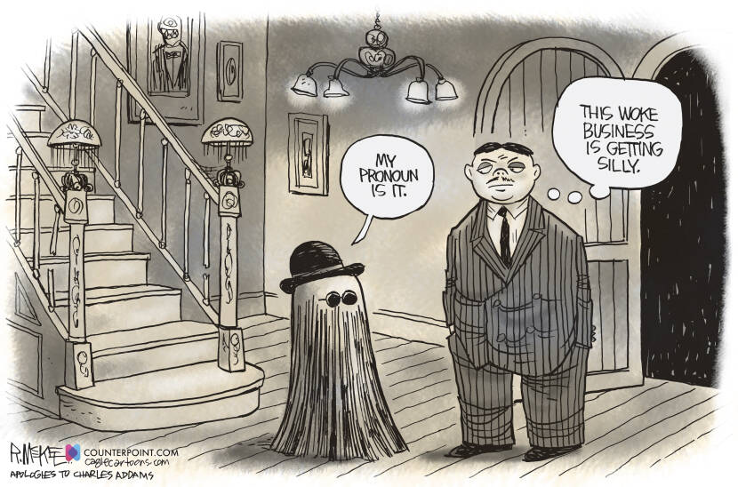 ‘Woke’ being used by both parties to end debate | Bainbridge Island Review