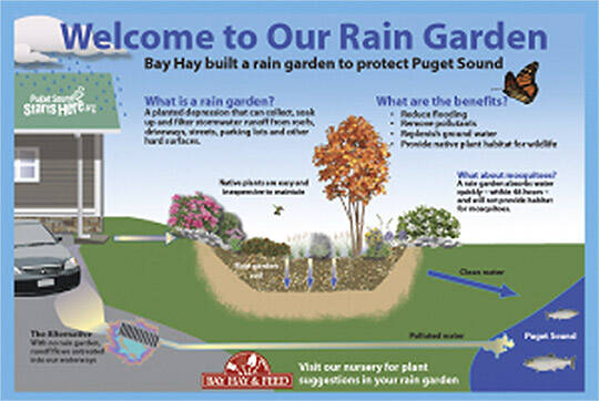 Rolling Bay Hay and Feed store sold | Bainbridge Island Review