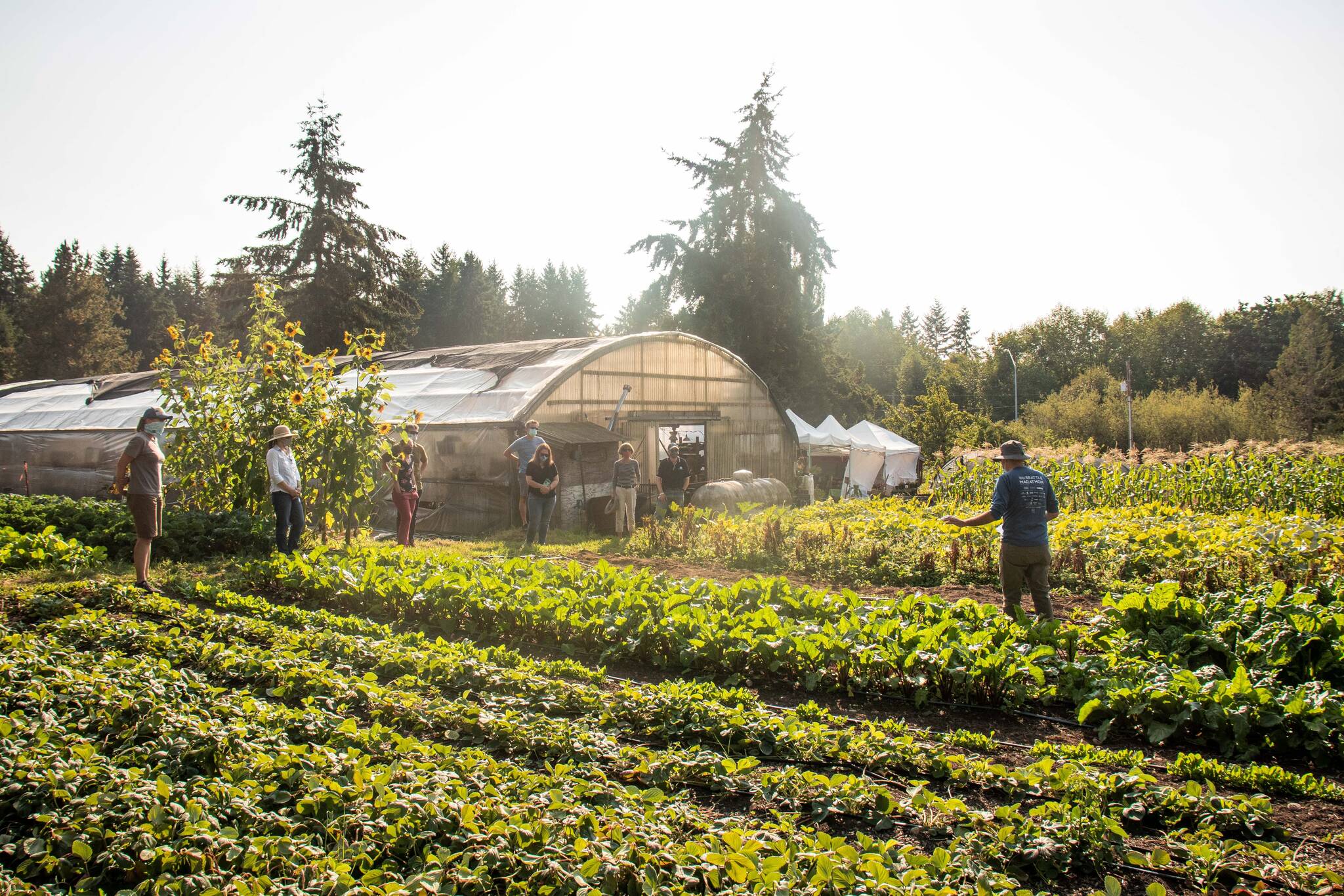 Life on the farm no time to lay back | Bainbridge Island Review