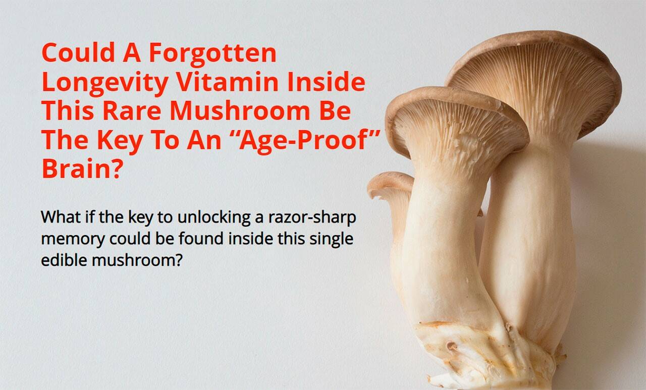 Mushroom MindBoost Reviews (Purality Health) Is It Worth It ...