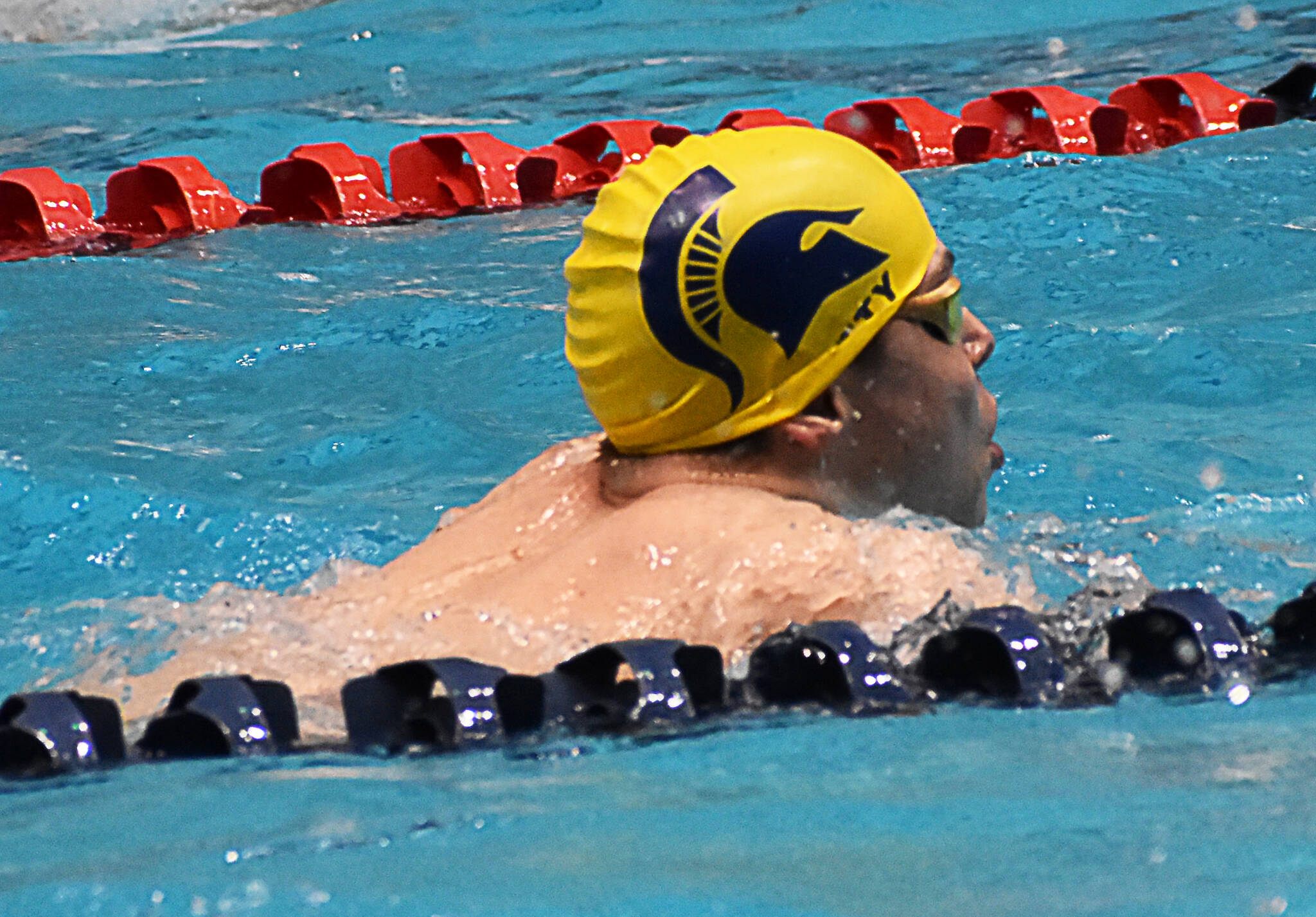 Nordgren 1st in 3 events to lead BHS swimmers to 3rd at state ...