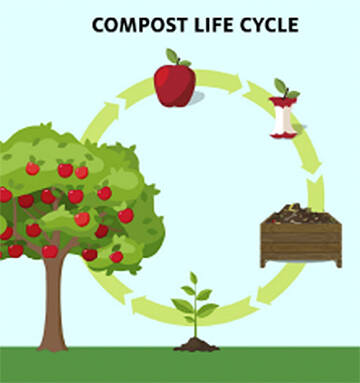 Mandatory composting, short-term rentals on May 16 BI agenda | Bainbridge Island Review