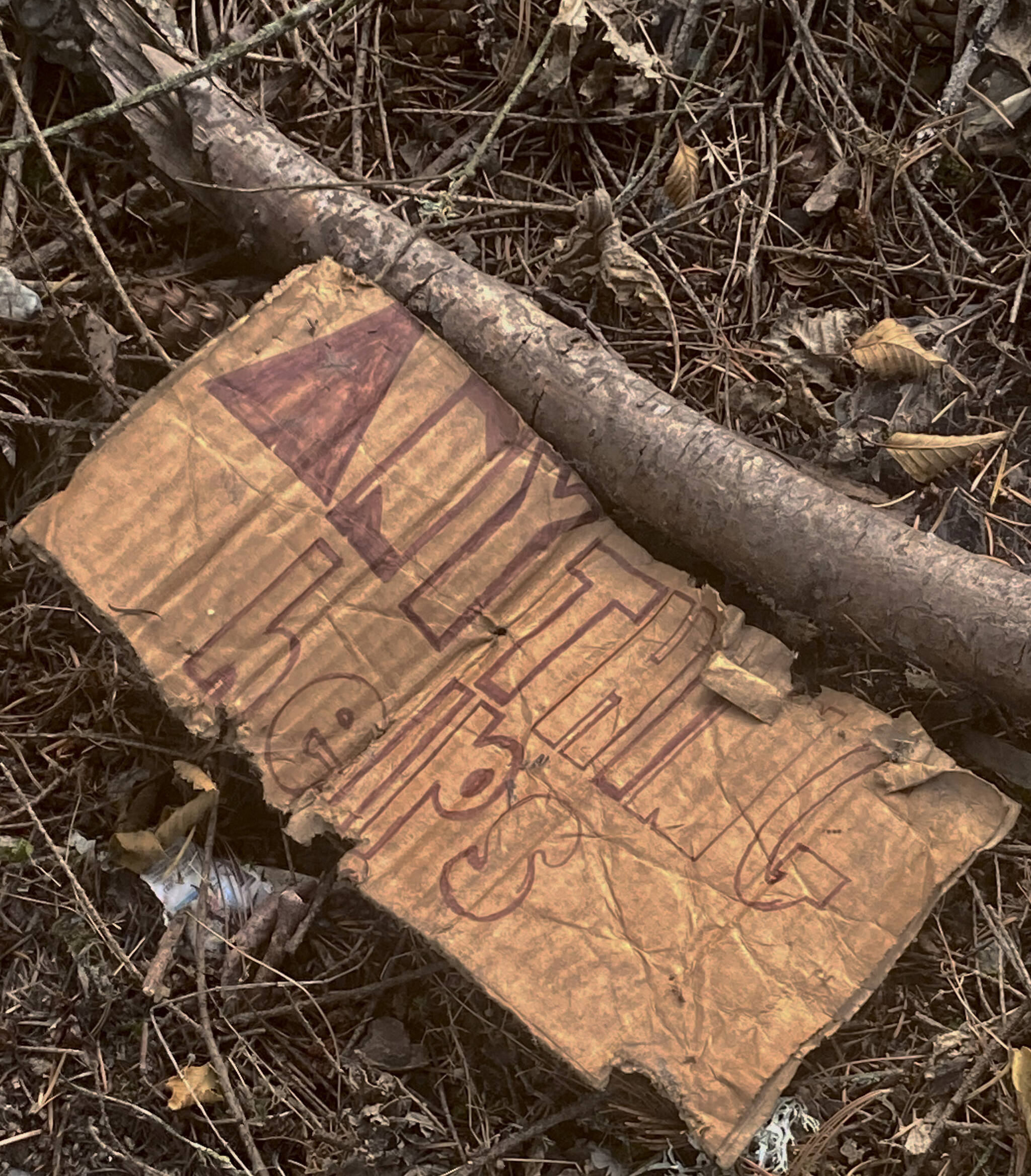 Residents, schools want swift enforcement of new drug law | Bainbridge ...