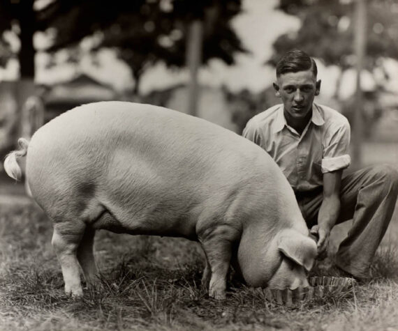 Bainbridge Island Review