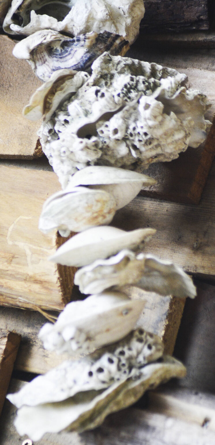 Pia’s textures show off craftsmanship | Bainbridge Island Review