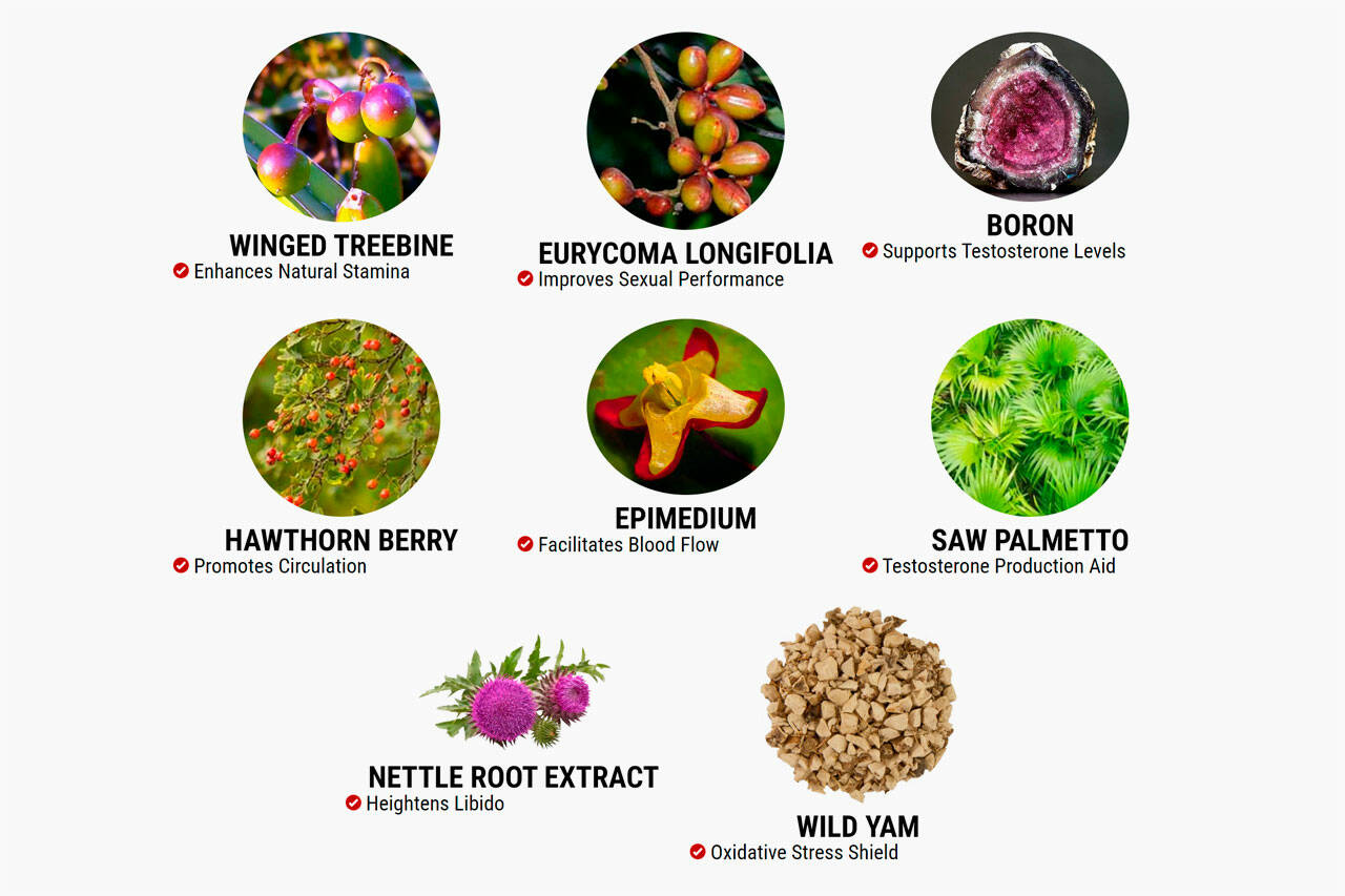 Max Vigor Pulse Reviewed - Does It Really Work? | Bainbridge Island Review