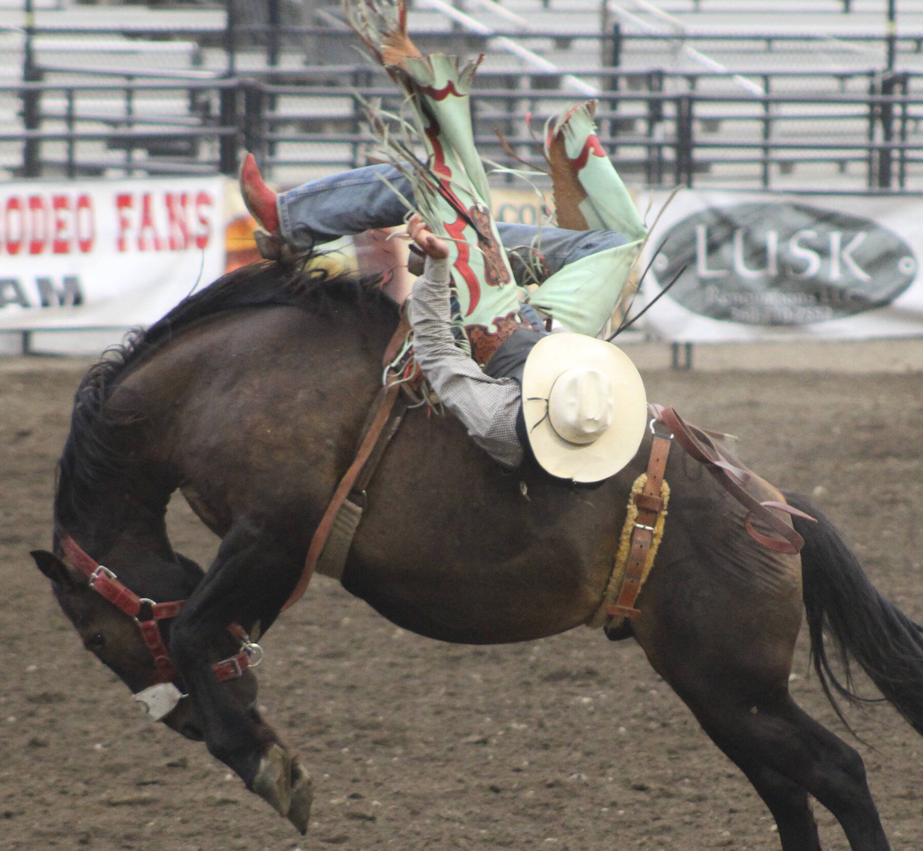 Not 1st rodeo in the rain for Kitsap fans | Bainbridge Island Review