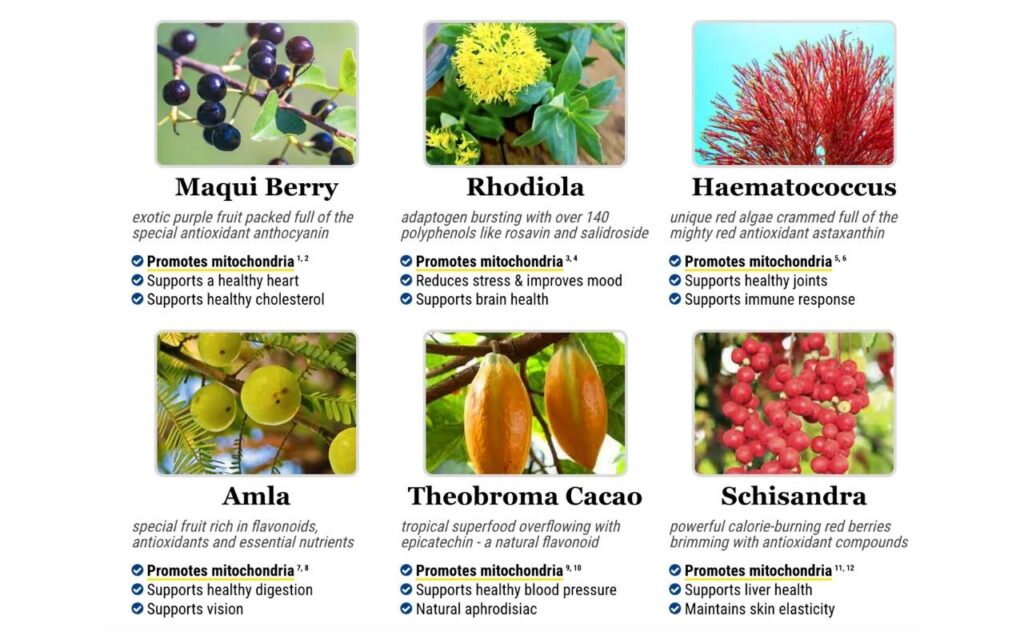 Does Purple Peel Exploit Actually Work? The Truth Behind the Claims ...