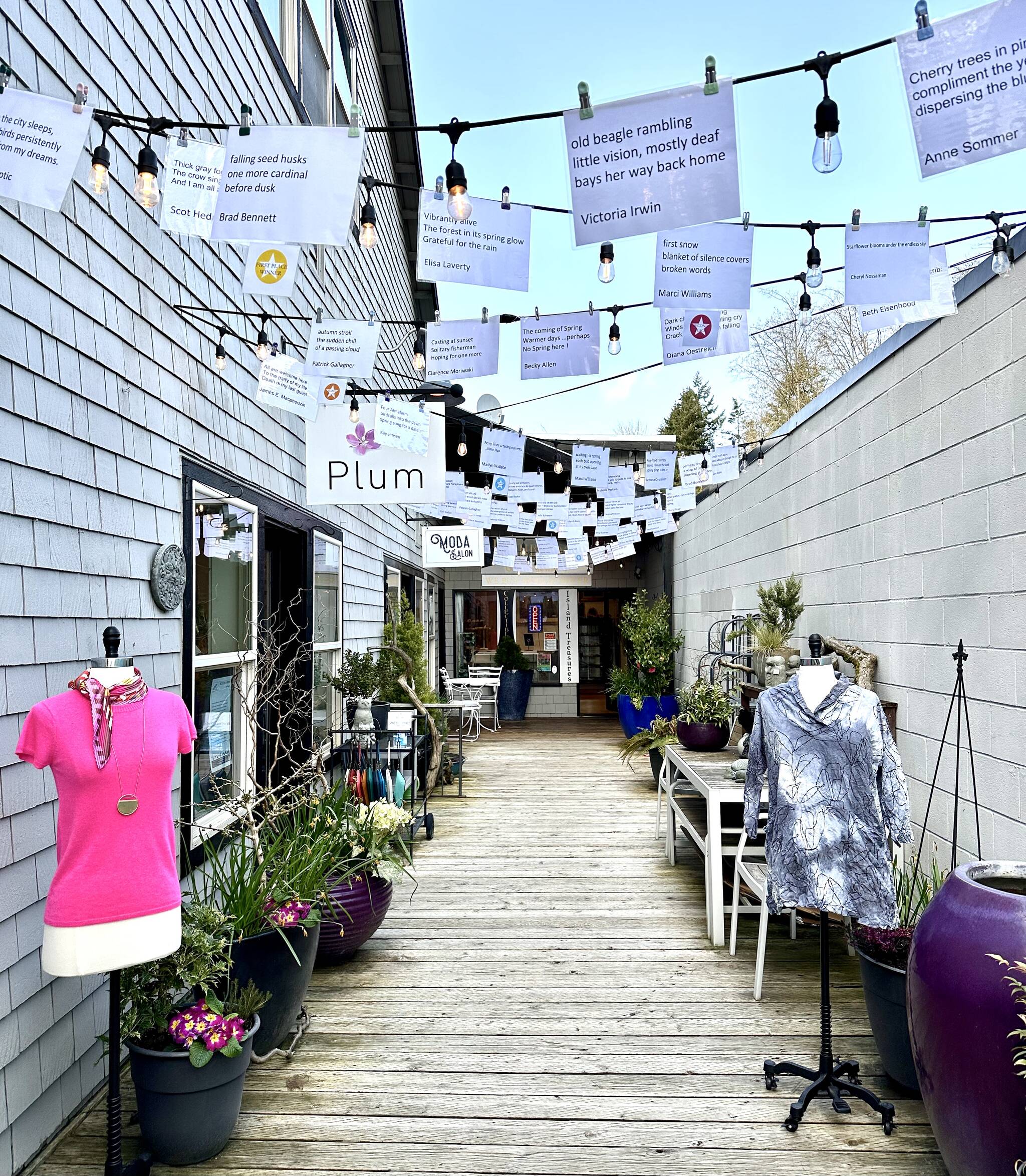 Bainbridge Island briefs | Bainbridge Island Review